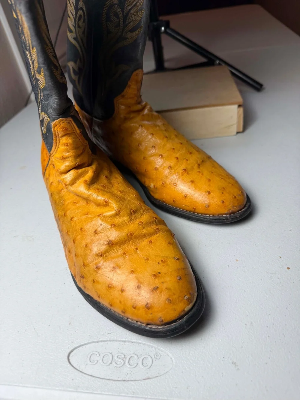 Justin Boots | Shoes | Justin Cognac Black Full Quill Ostrich Western ...